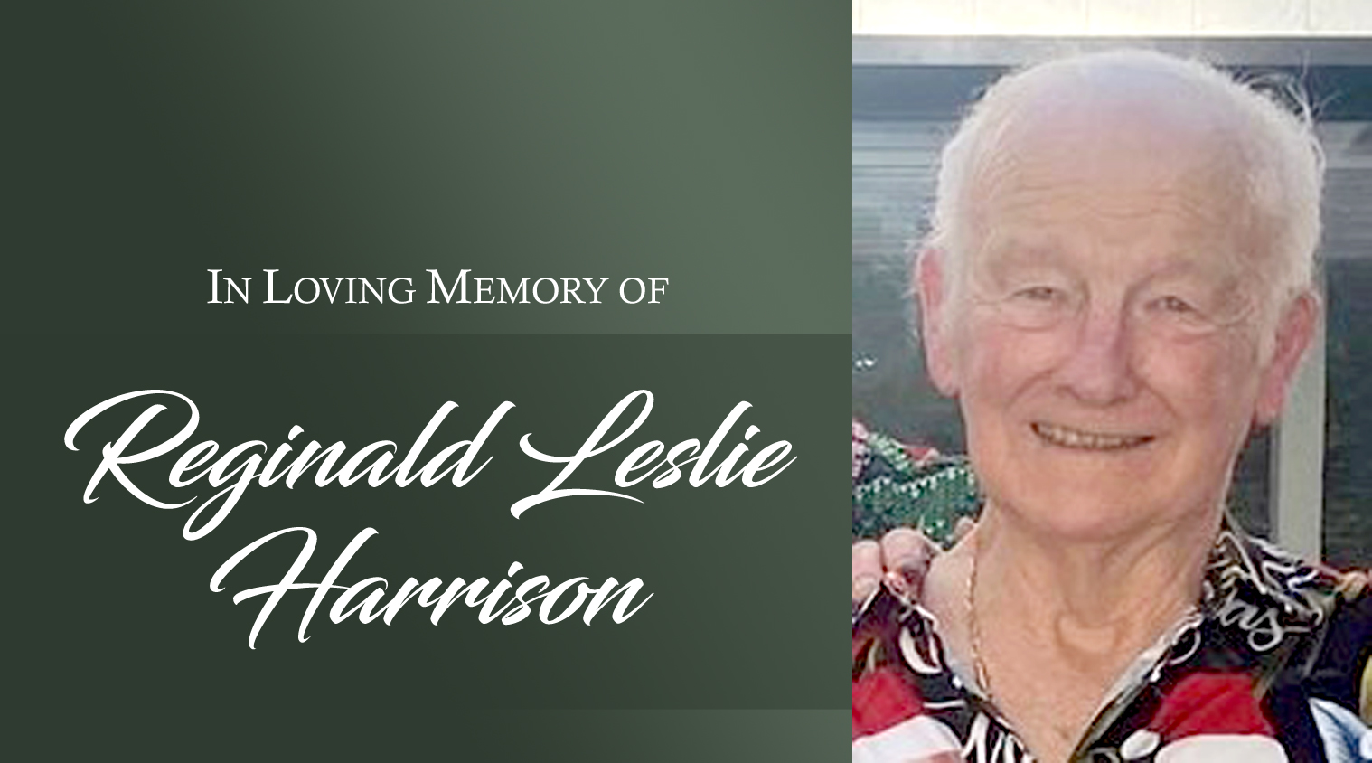 Reginald Harrison | Vivid Stream